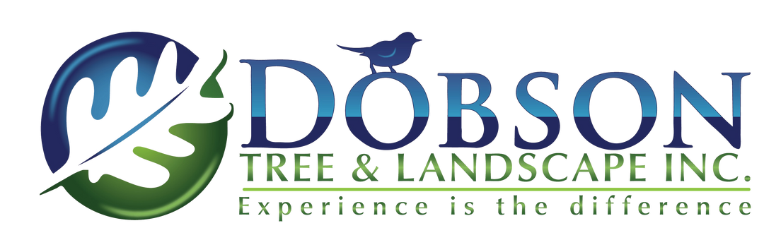 Contact – Dobson Tree & Landscape Inc.